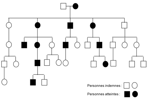 CHU Saint-Étienne - Centres experts - Sclérose Tubéreuse de Bourneville ...